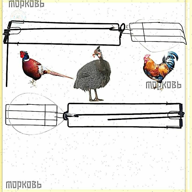 Домашняя ловушка для птиц, складная охотничья клетка для голубей, фазанов и уток, портативный инструмент для кемпинга и дачи