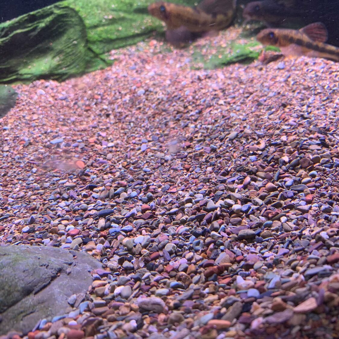 Полный набор натуральных камней для ландшафтного дизайна аквариума, плоские камни для обогрева, специальные камни для