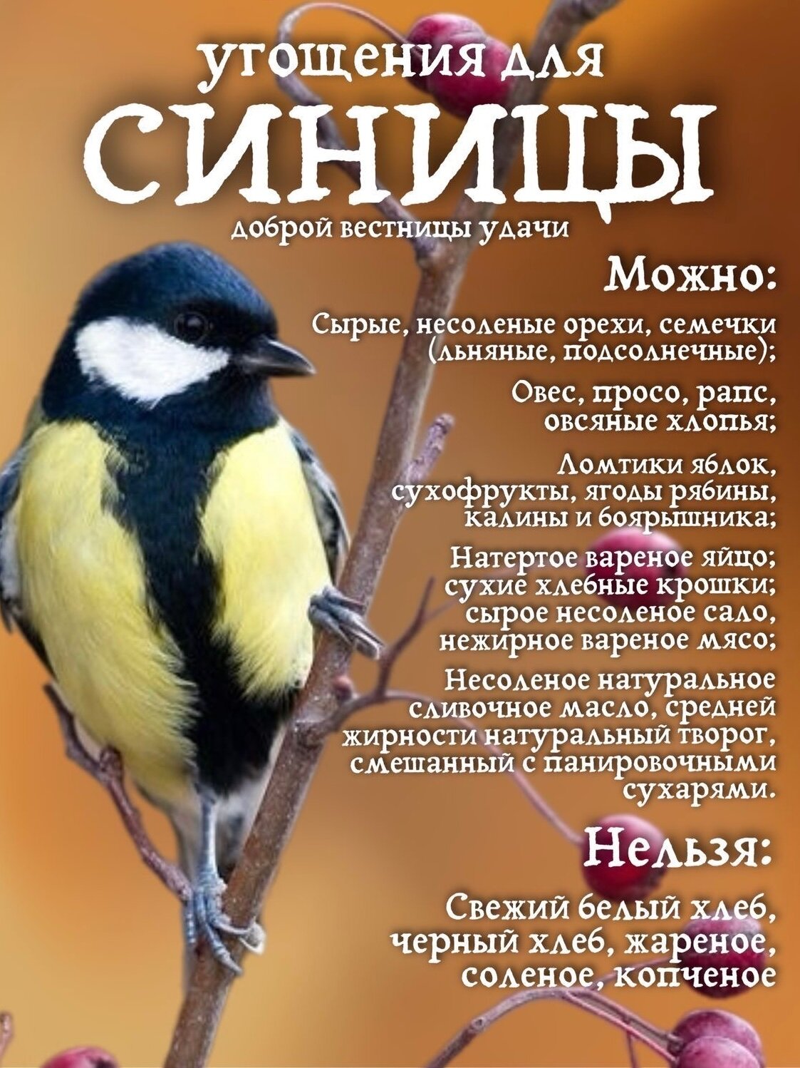 Корм для Синичек 1 кг. Угощение для синичек в удобный упаковки.