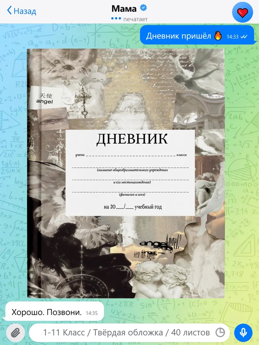 Школьный дневник с принтом y2k pinterest