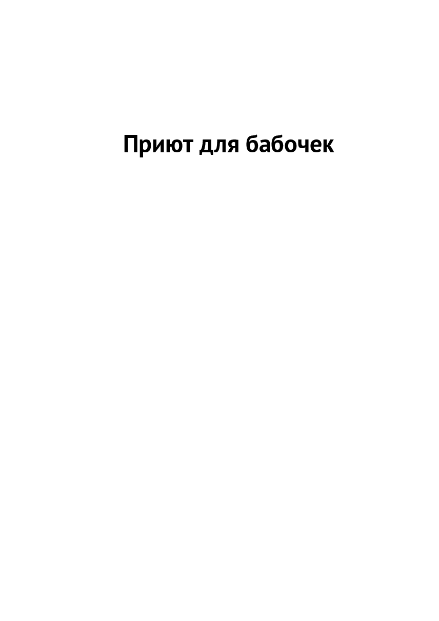 Приют для бабочек — фото 1