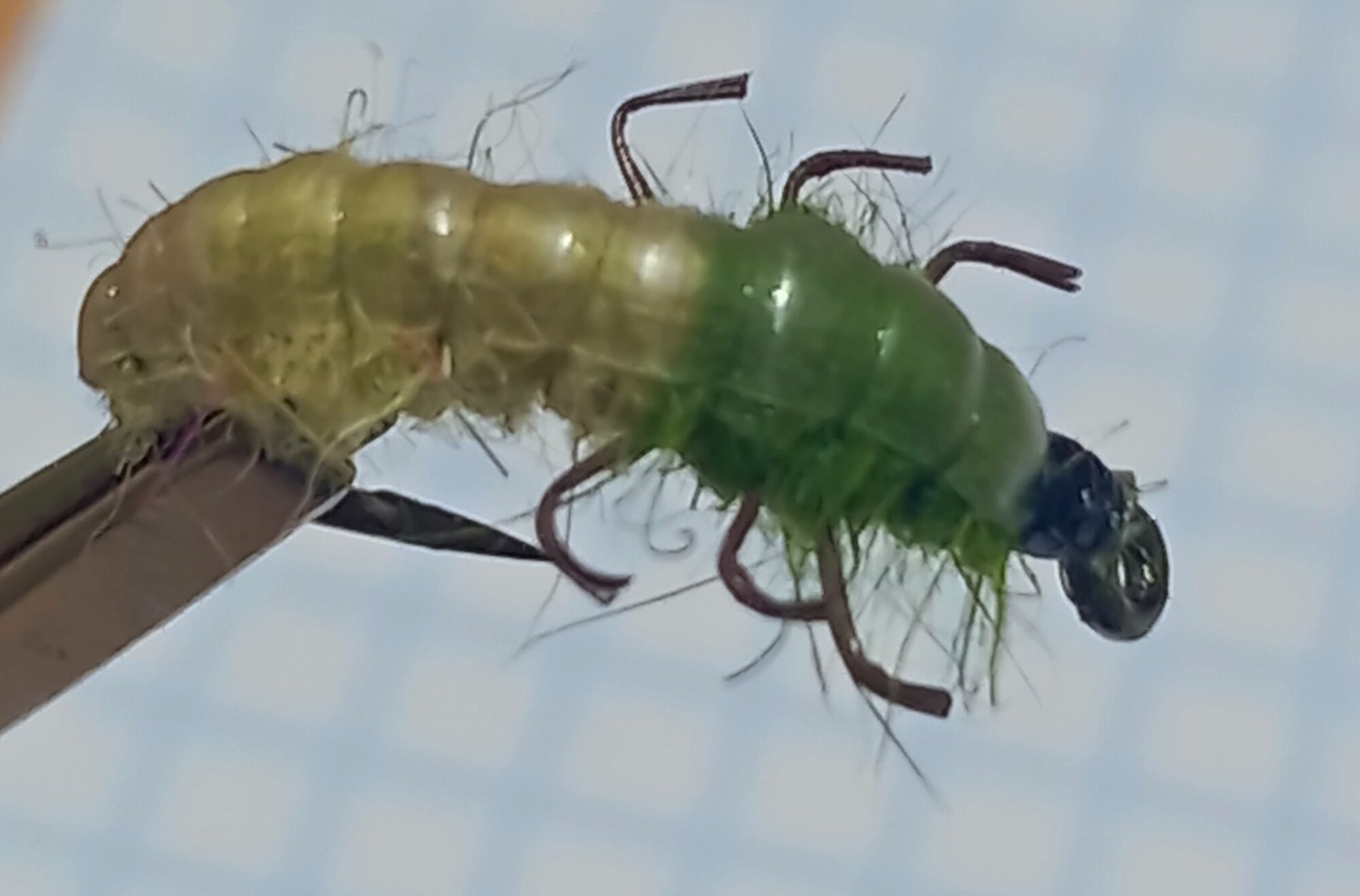 Мушка"Ручейник".