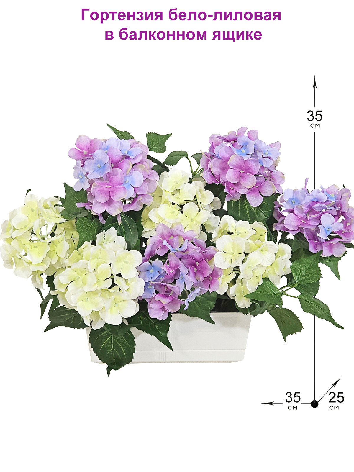 Гортензия бело-лиловая в балконном ящике от ФитоПарк, цветные комнатные растения
