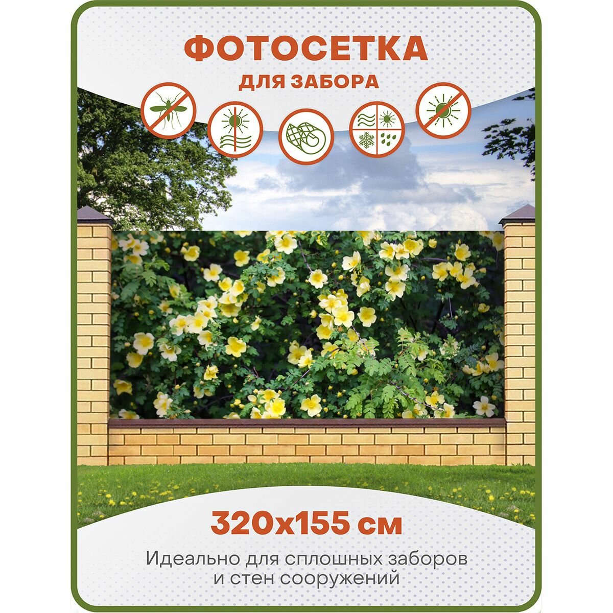 Фотосетка для забора и беседки, Сад розы Ксантина, фотофасад для дачи и террасы, люверсы в подарок, ФС253, 320х155 см