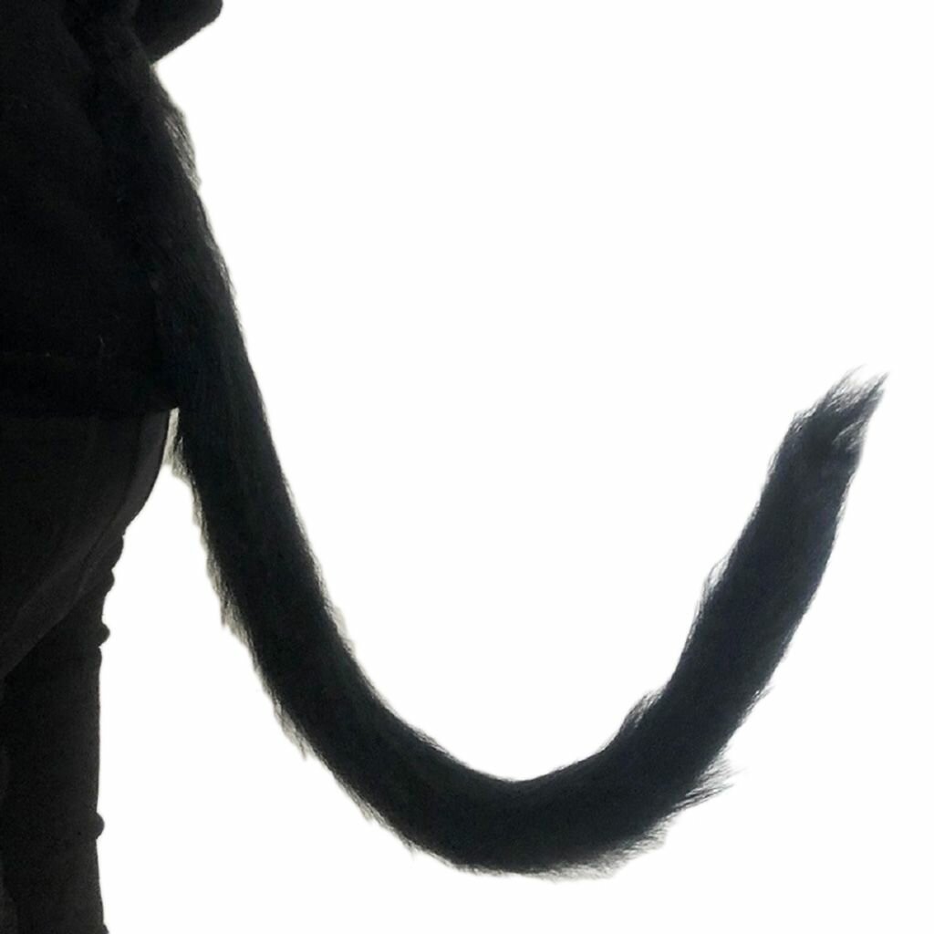 (One piece) косплей с длинношерстным кошачьим хвостом-черный