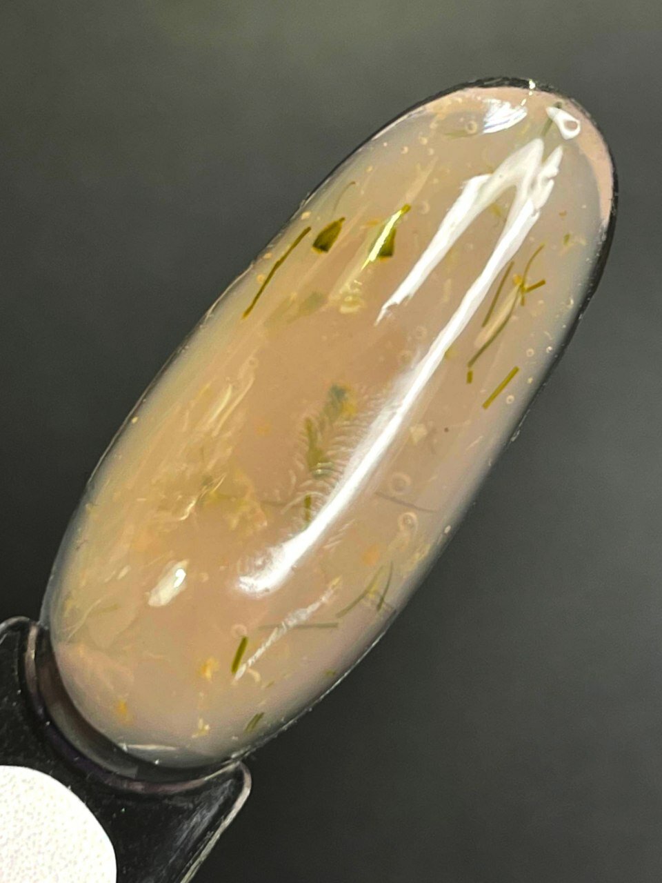 Жесткий гель для наращивания ногтей с сухоцветами CatPRO Flora Gel 15ml №5