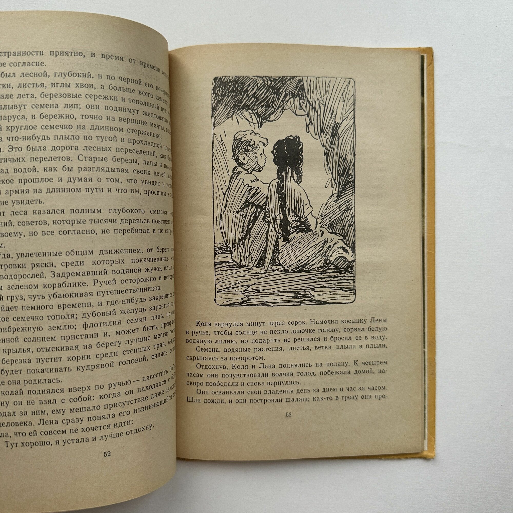 Книга Ручей старого бобра — фото 1