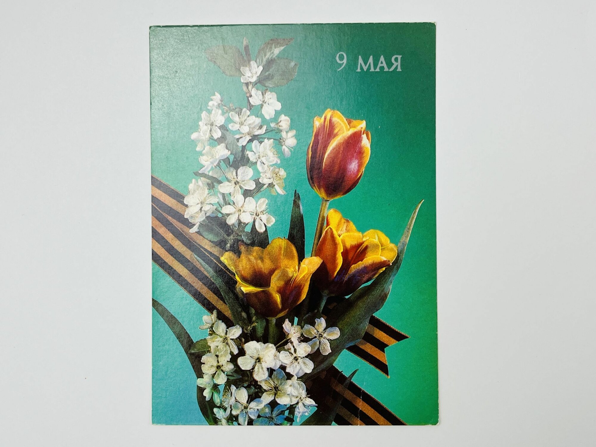 9 Мая. Букет цветов и георгиевская ленточка. Открытка. Чистая