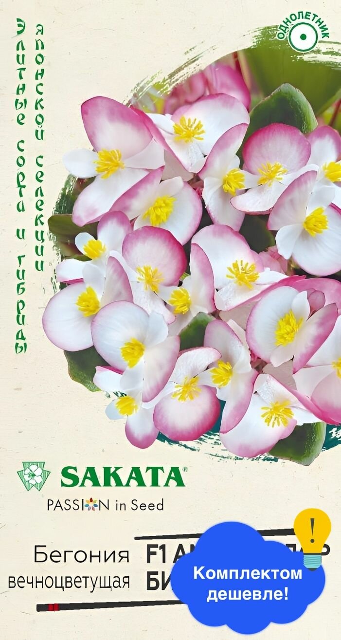 Семена цветов Гавриш "Бегония Амбассадор Биколор" F1, 4 шт