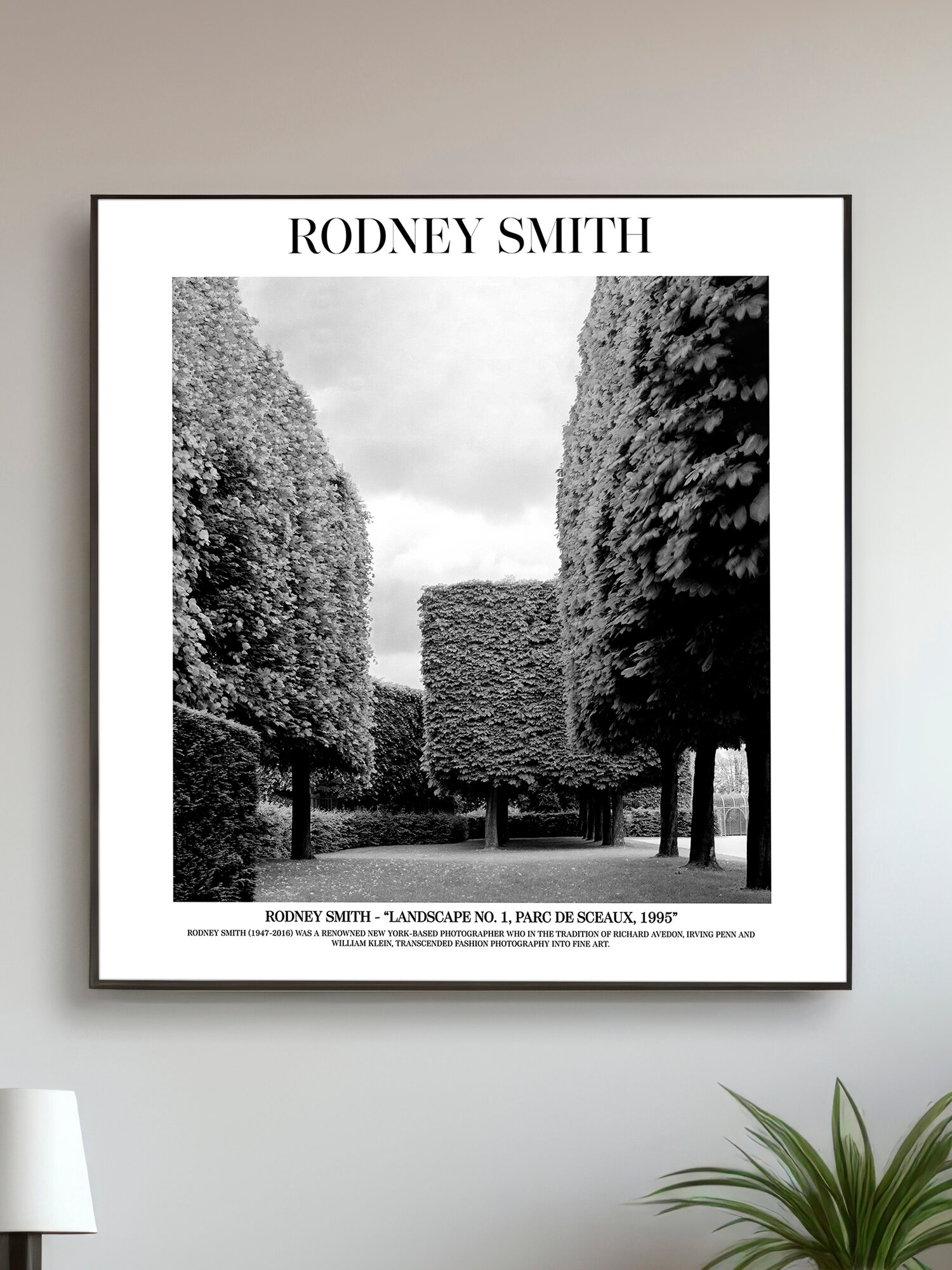 Постер фотография для интерьера Casa Paterna черно-белый Родни Смит - Французский парк, 30х30