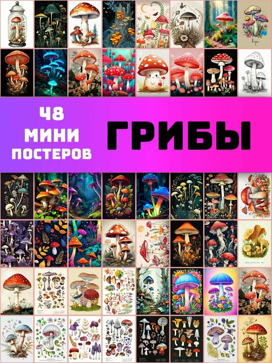 Набор постеров Грибы