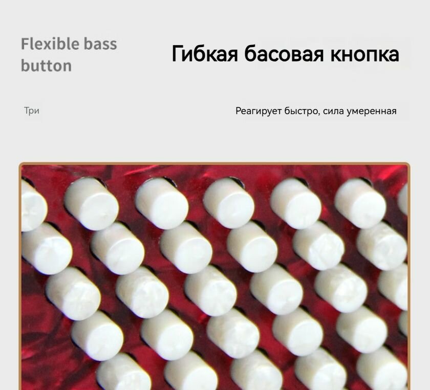 Баян — фото 1