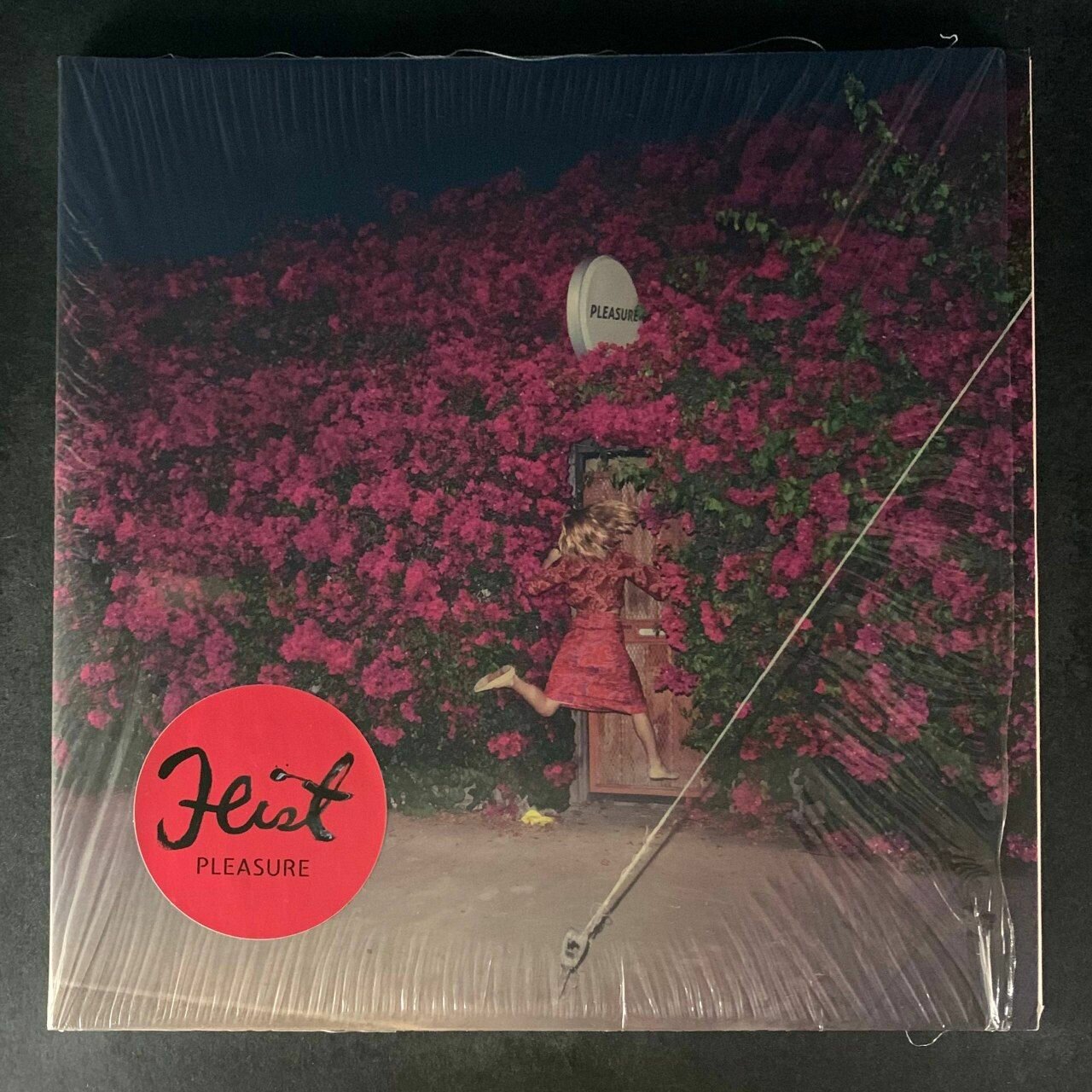 Feist - Pleasure (б/у виниловая пластинка, LP)
