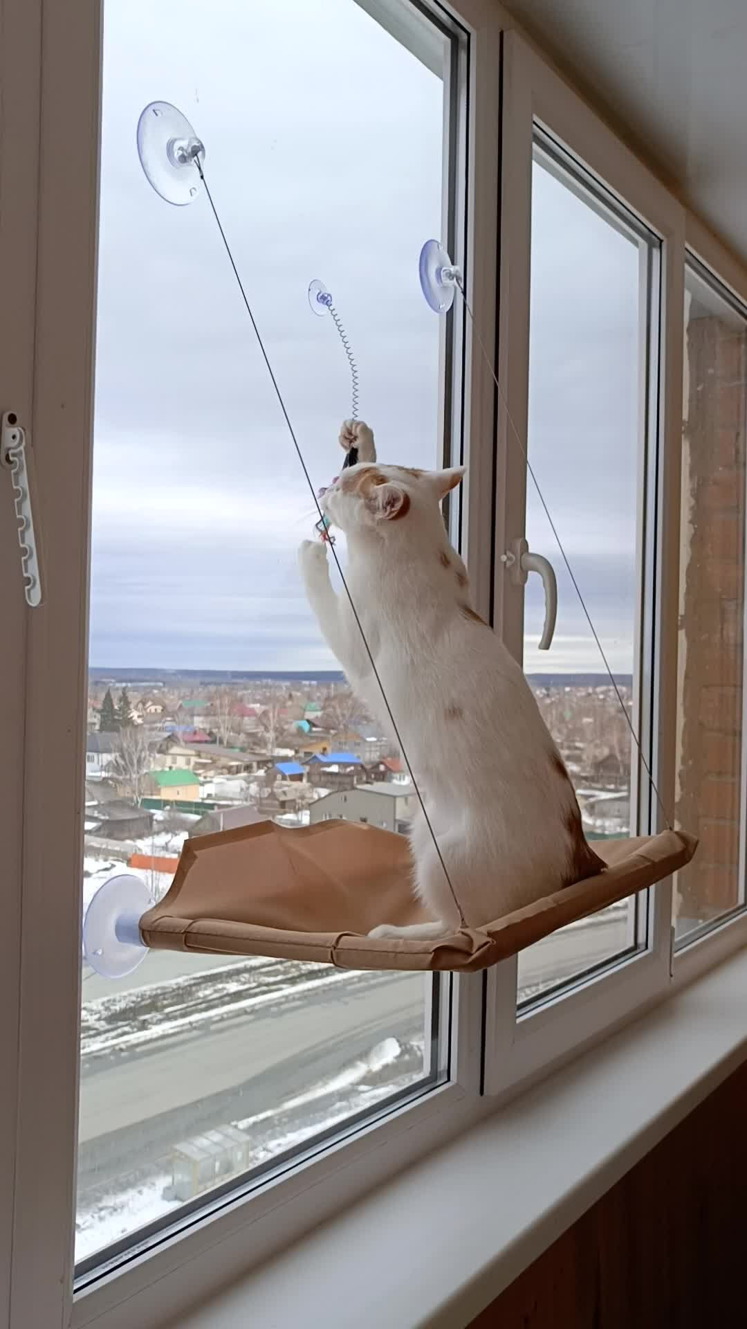 Гамак для кошек и котов на окно подвесной до 20 кг / Лежанка полка на присосках