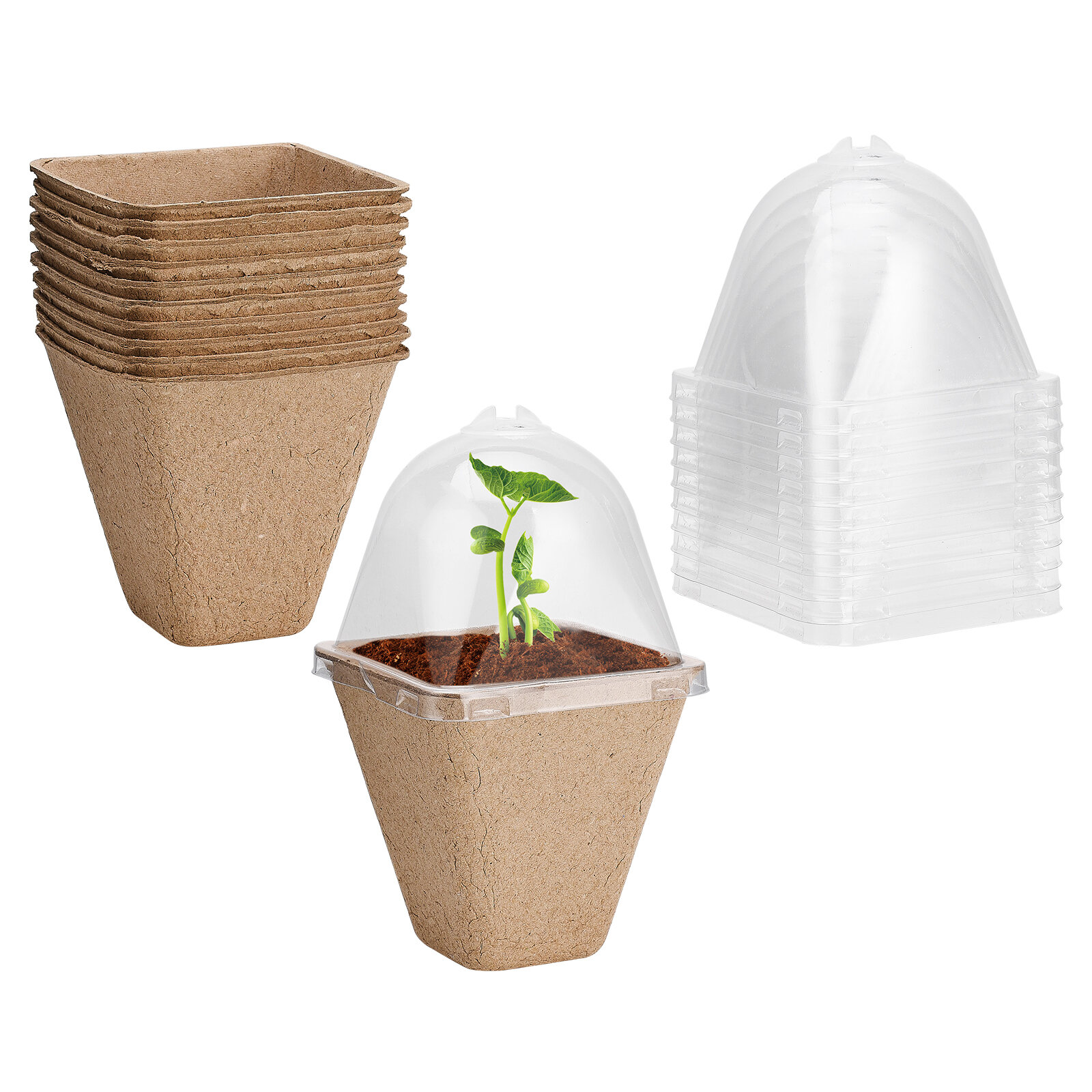 Seedling Cup Biodegradable Planter Pots With Humidity Dome Plant Nursery