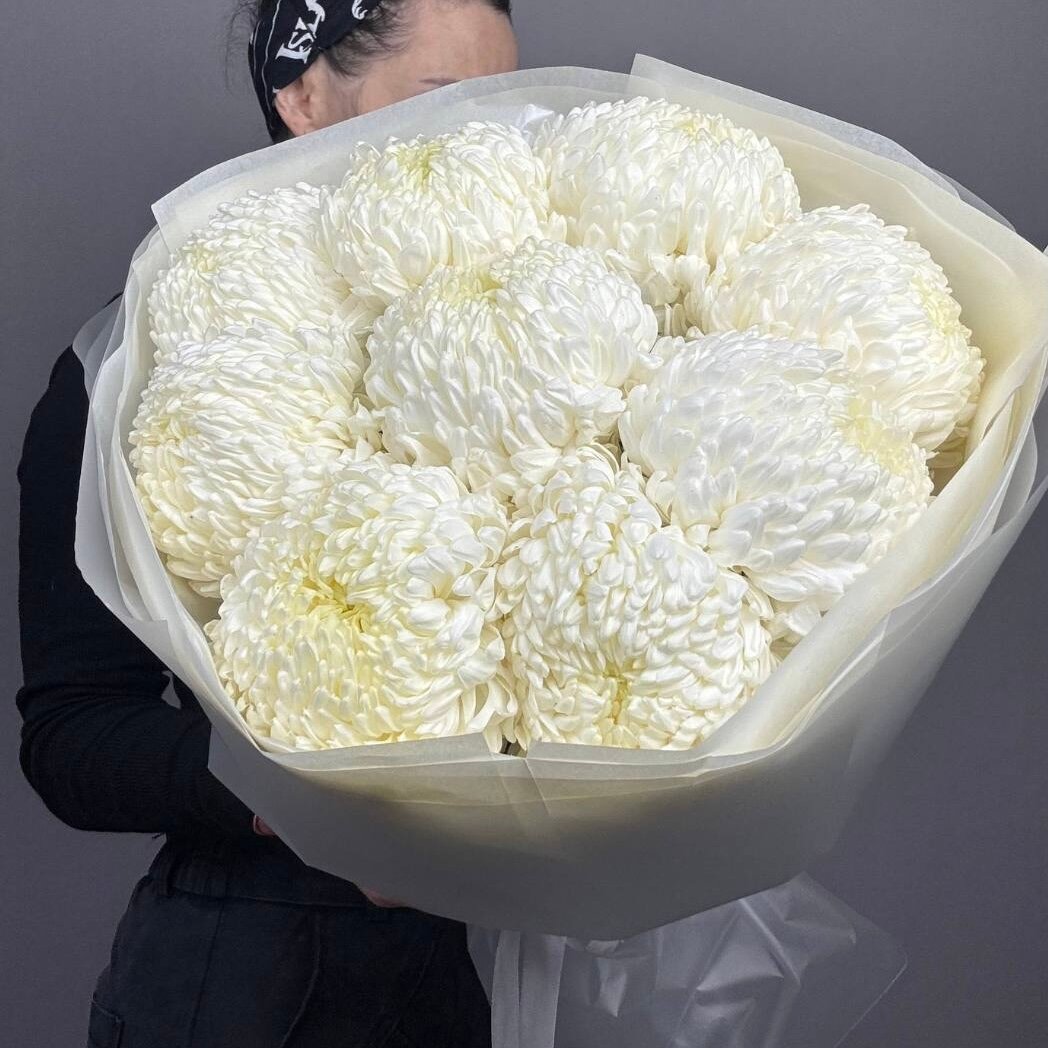 Букет из белых хризантем 11 шт, красивый букет цветов, шикарный, премиум цветы, премиум букет