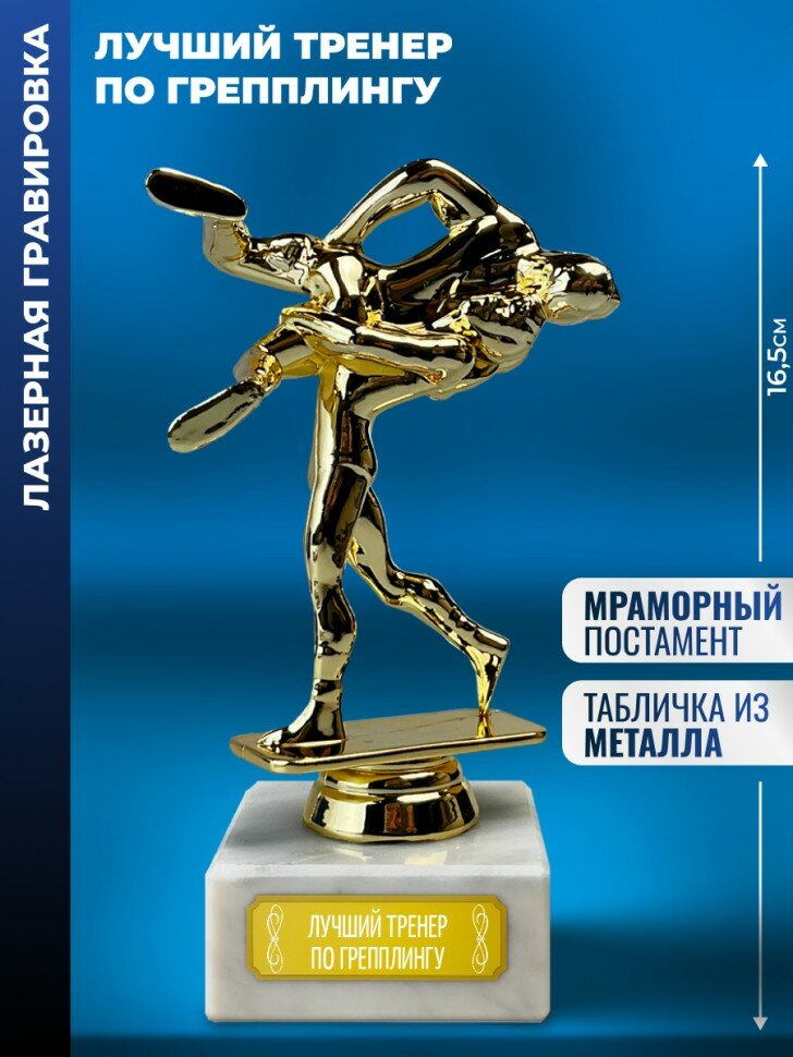 Статуэтка Борьба "лучший тренер по грепплингу"