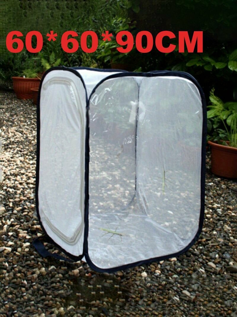 Ферма Бабочек Для Выращивания