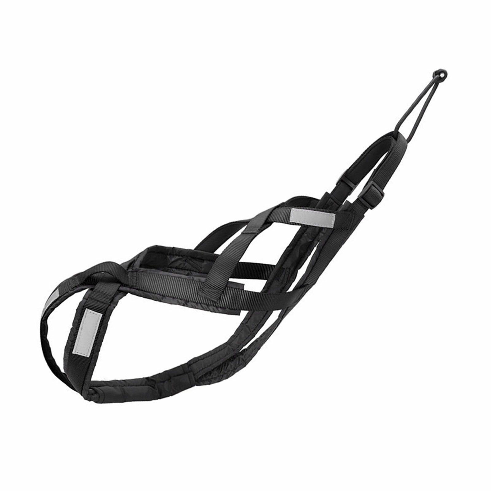 Регулируемая ездовая шлейка для крупных пород лыж и бега