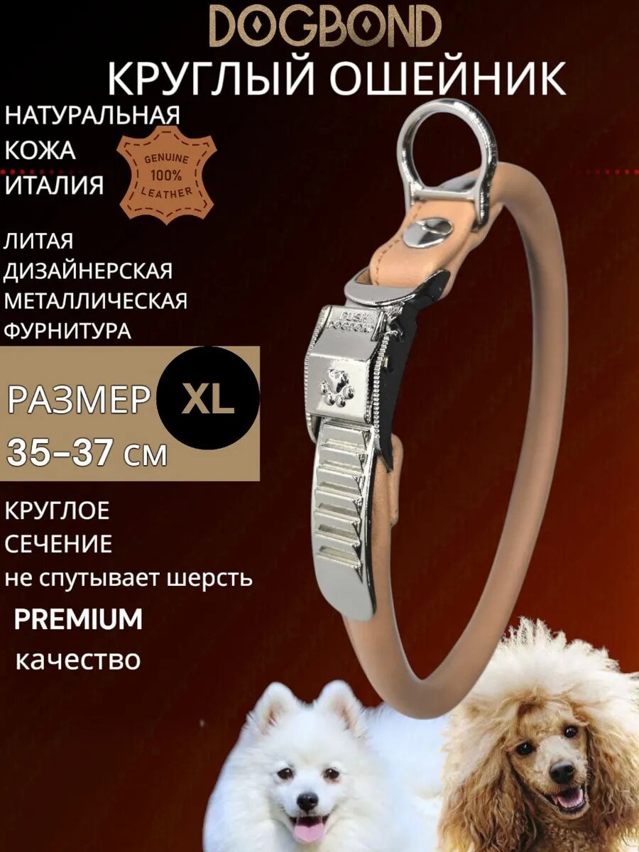 Ошейник Dogbond круглый для японских шпицев и пуделей