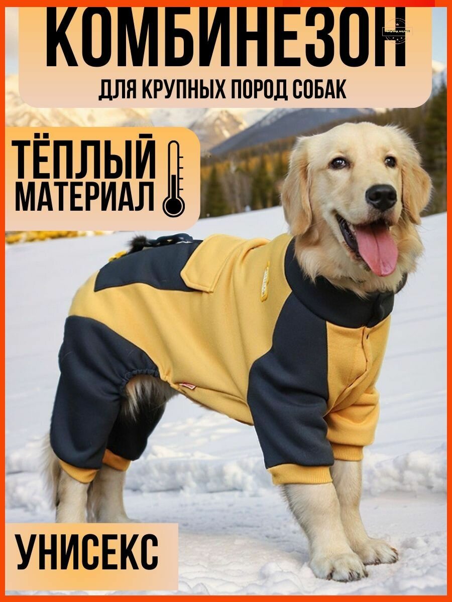 Эксклюзивный наряд питомца