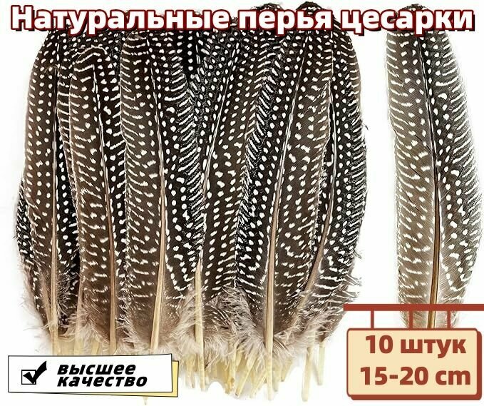 Натуральные перья цесарки 1520 см, пятнистый узор, яркие стойкие цвета для декора одежды, бижутерии, флористики и DIY-творчества, набор экологичных перьев для рукоделия и интерьера