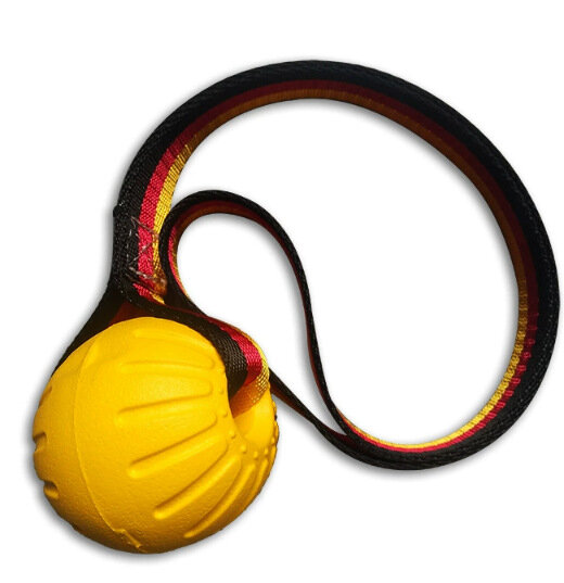 Игрушка для собак круг дрессировочный мяч для собак для снятия скуки зубы устойчивы к укусам корги Тедди Чай собака