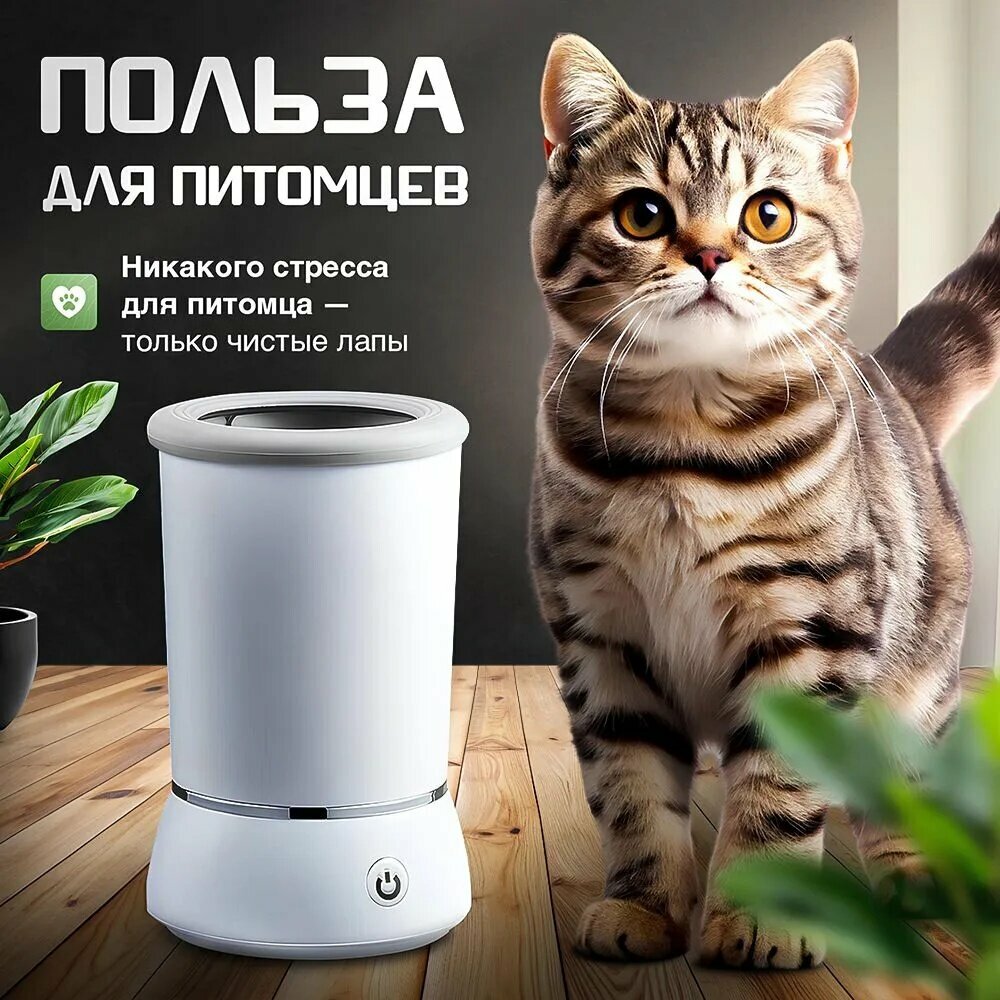 Лапомойка — фото 1