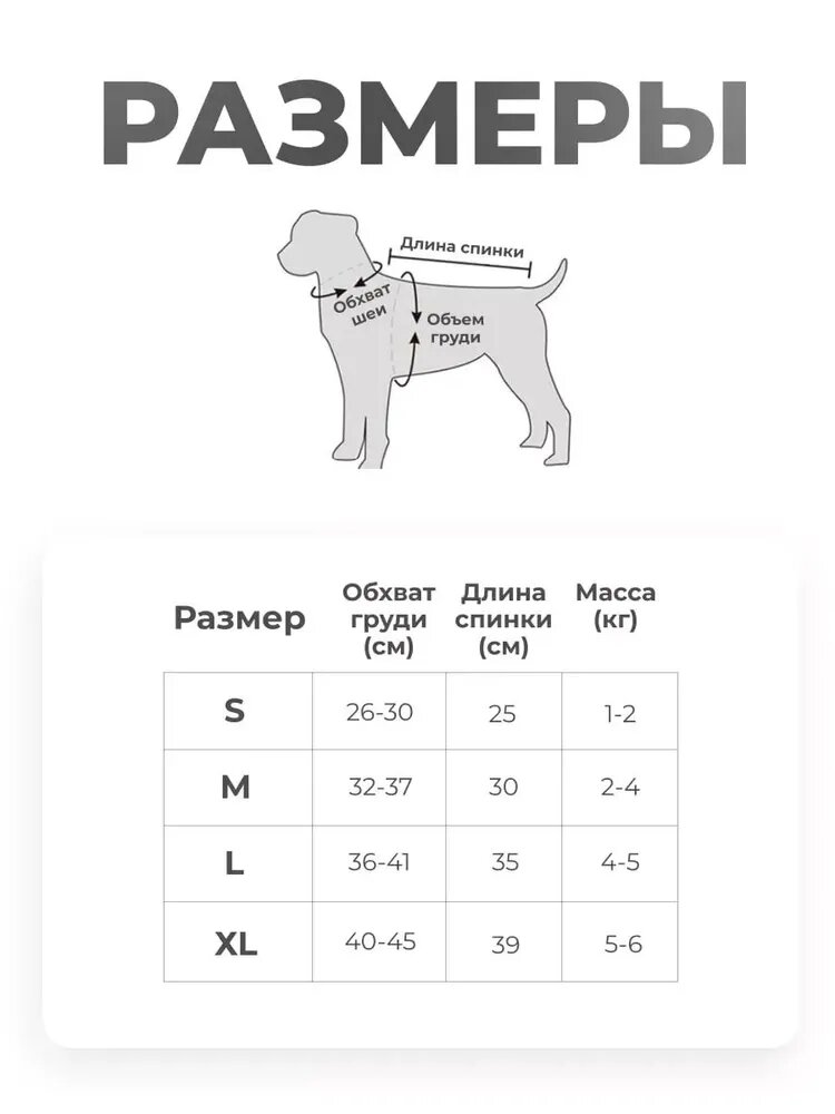 Одежда для животных — фото 1
