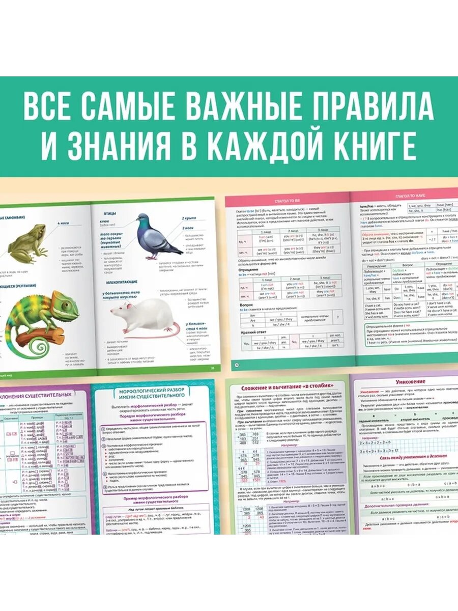 Образовательный набор для начальных классов