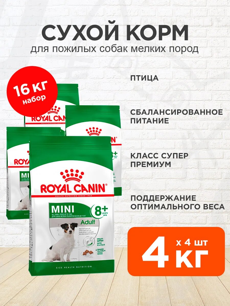 Корм сухой Royal Canin Mini Adult 8+ для пожилых собак маленьких пород старше 8 лет, 4 кг x 4 шт