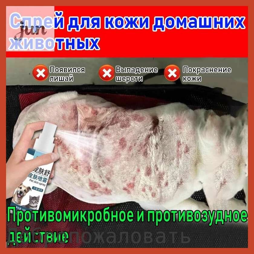 Быстродействующий спрей от зуда для кошек и собак (при экземе, дерматите, аллергии) 100 мл