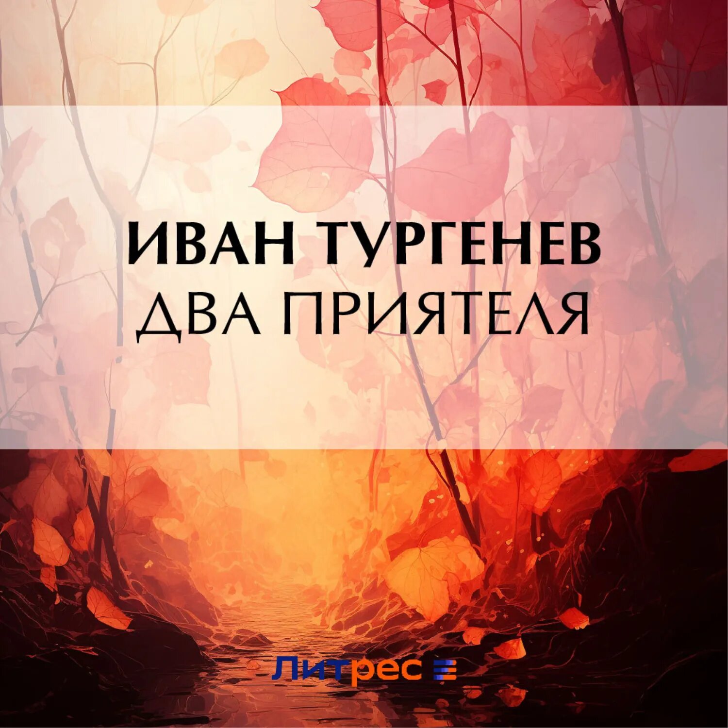 Два приятеля [Аудиокнига]