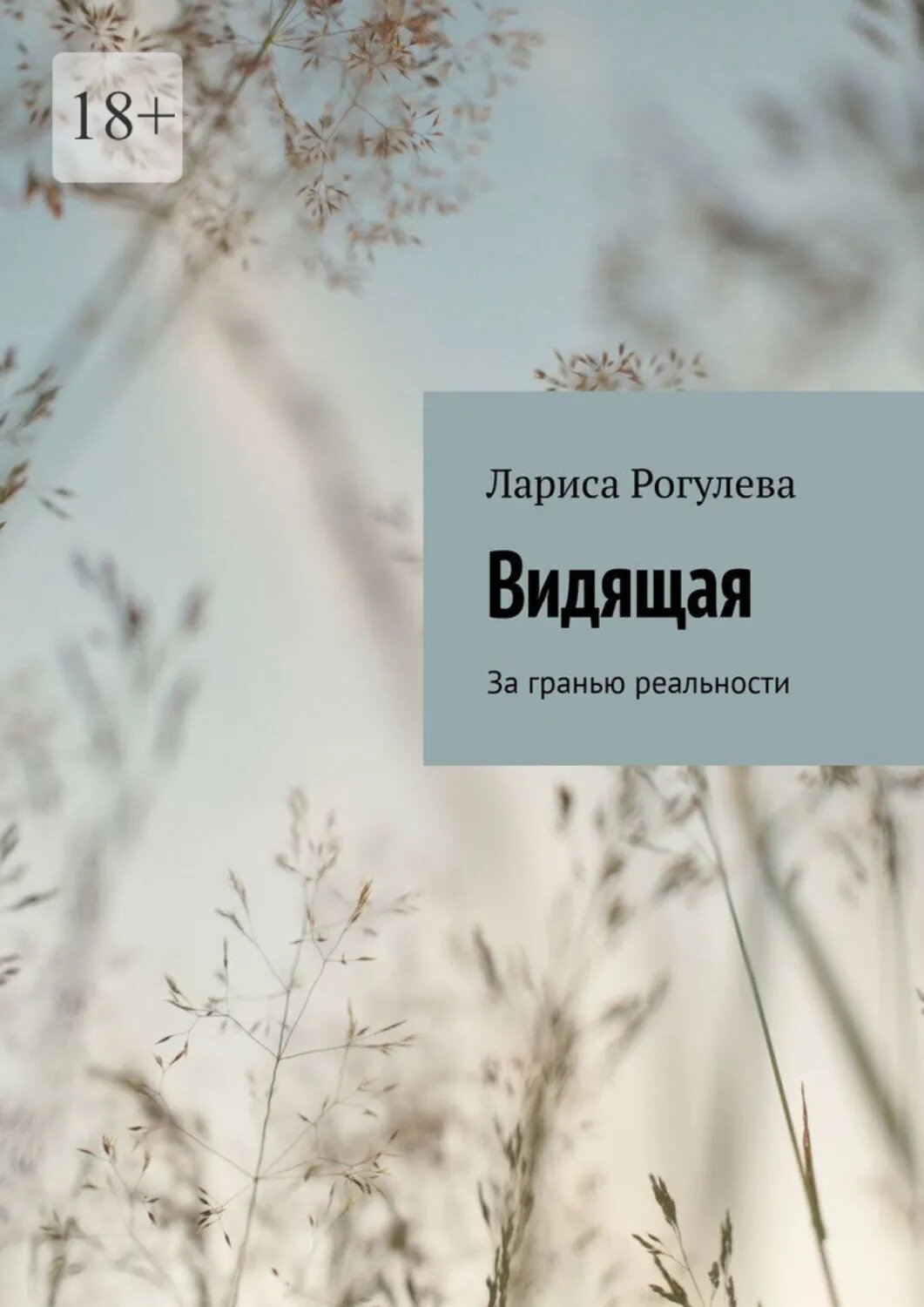 Видящая. За гранью реальности [Цифровая книга]