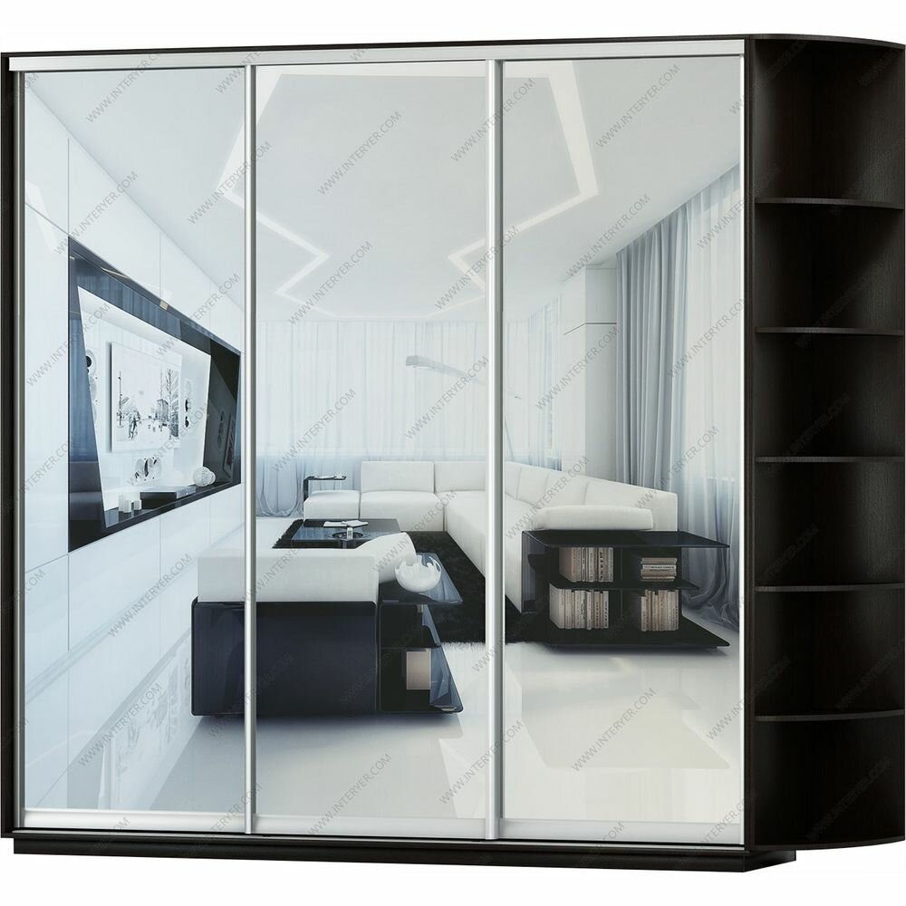 Шкаф-купе Фортуна К Байкал Трио Экспенс зззу