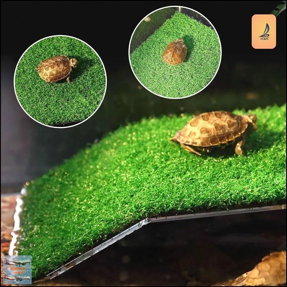 Платформа-мостик для черепах на присосках, аксессуар для аквариума и террариума (островок для загара, безопасный и регулируемый)