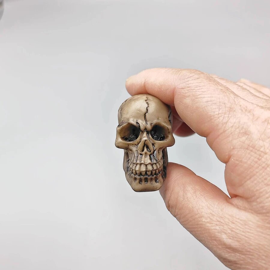 Модель головы черепа 1/6 Foyunde для 12-дюймовых фигурок