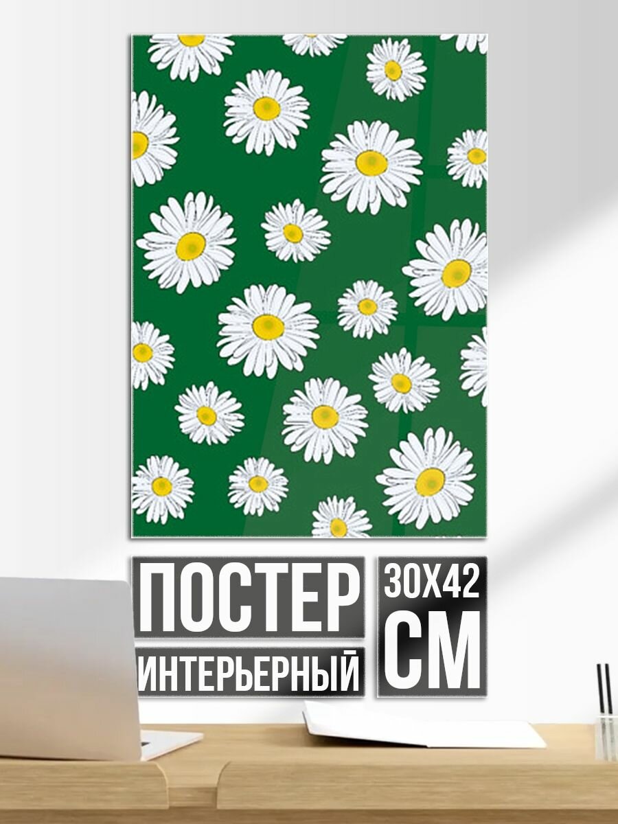 Постер на стену Ромашки поле из цветов