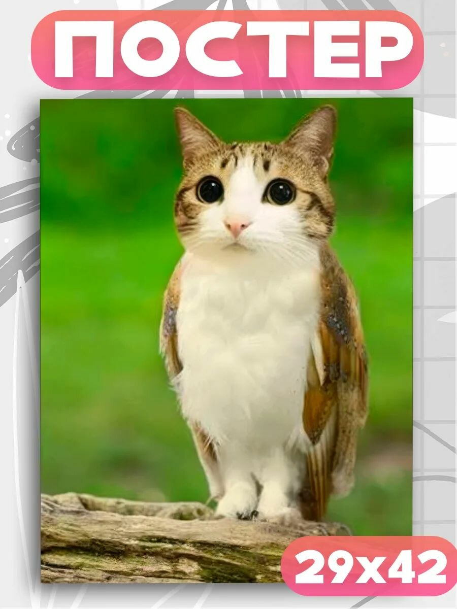 Постеры на стену для интерьера Meowl мем Котосова, , плакат 1шт, А3 размер.
