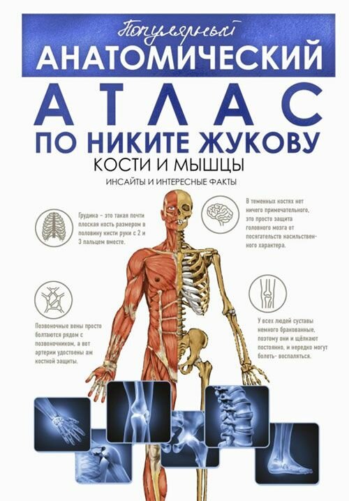 Популярный анатомический атлас по Никите Жукову: кости и мышцы. Инсайты и интересные факты. АСТ, Москва