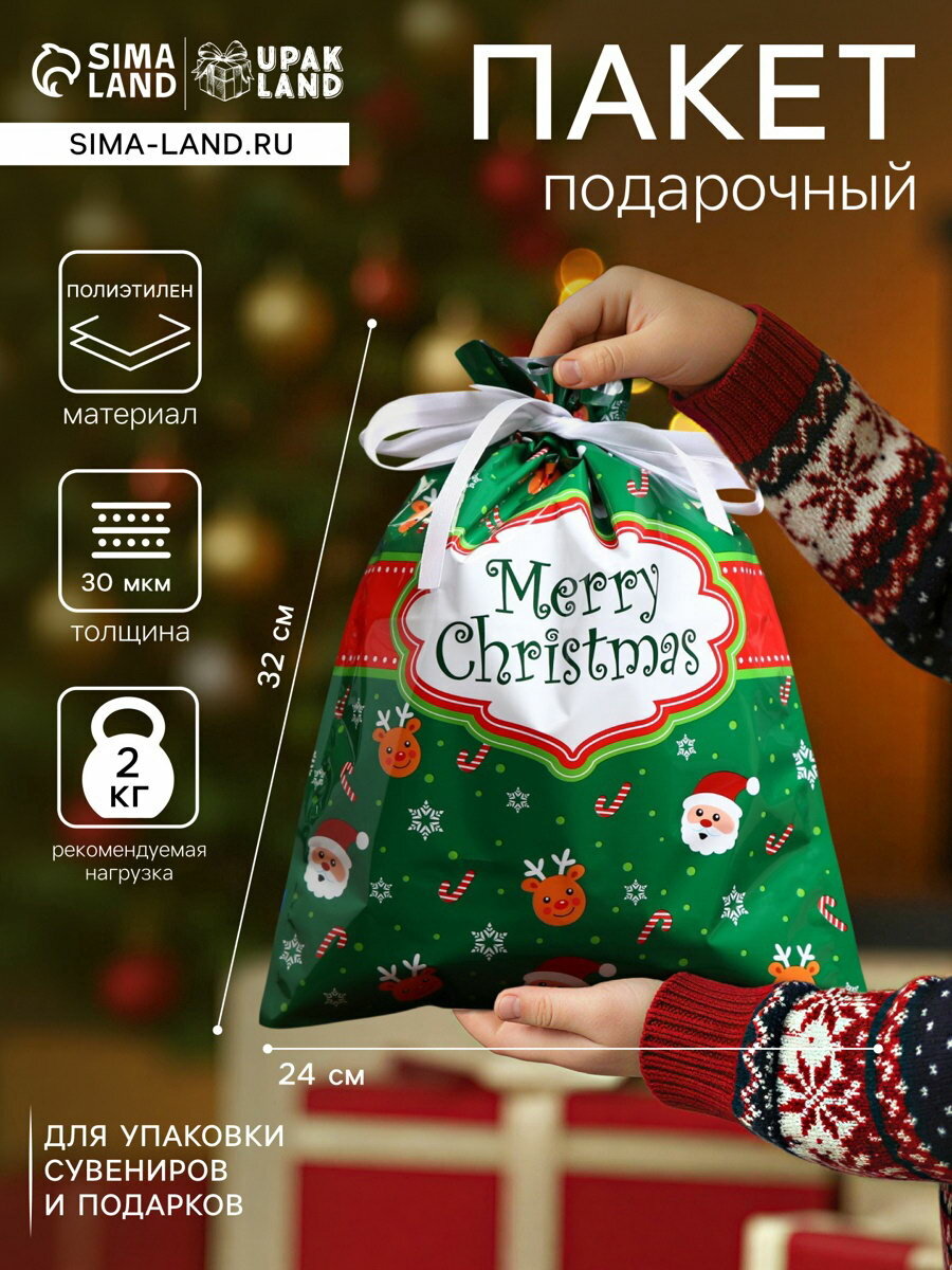 Пакет подарочный новогодний с завязками, "Счастливого рождества", 24x32 см, 5 шт.