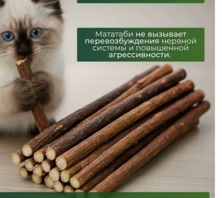 Мататаби палочки отборные для кошек, с кошачьей мятой, игрушка-лакомство для котят с витаминами, 15 шт
