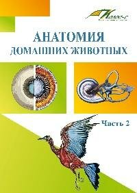 Книга "Анатомия домашних животных. Ч.2"