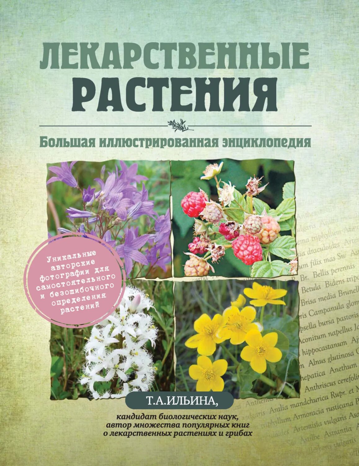 Лекарственные растения. Большая иллюстрированная энциклопедия [Цифровая книга]