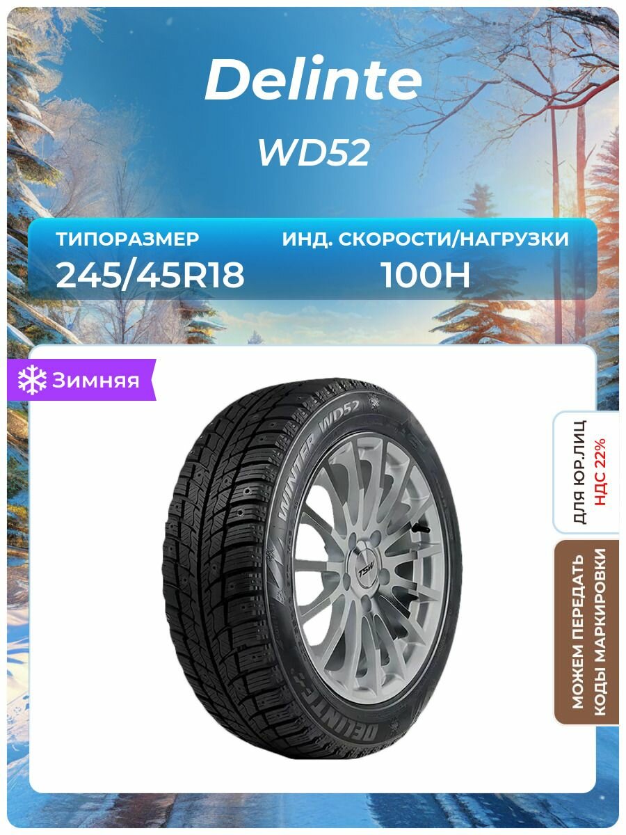 Шина Delinte WD52