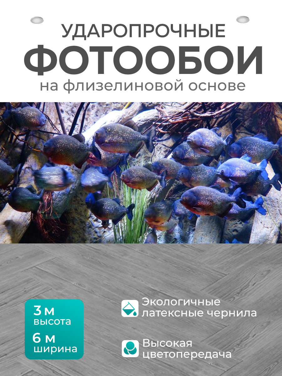 Фотообои моющиеся ударопрочные "Пираньи, рыбы, аквариум" 600x300 см. флизелиновые на стену