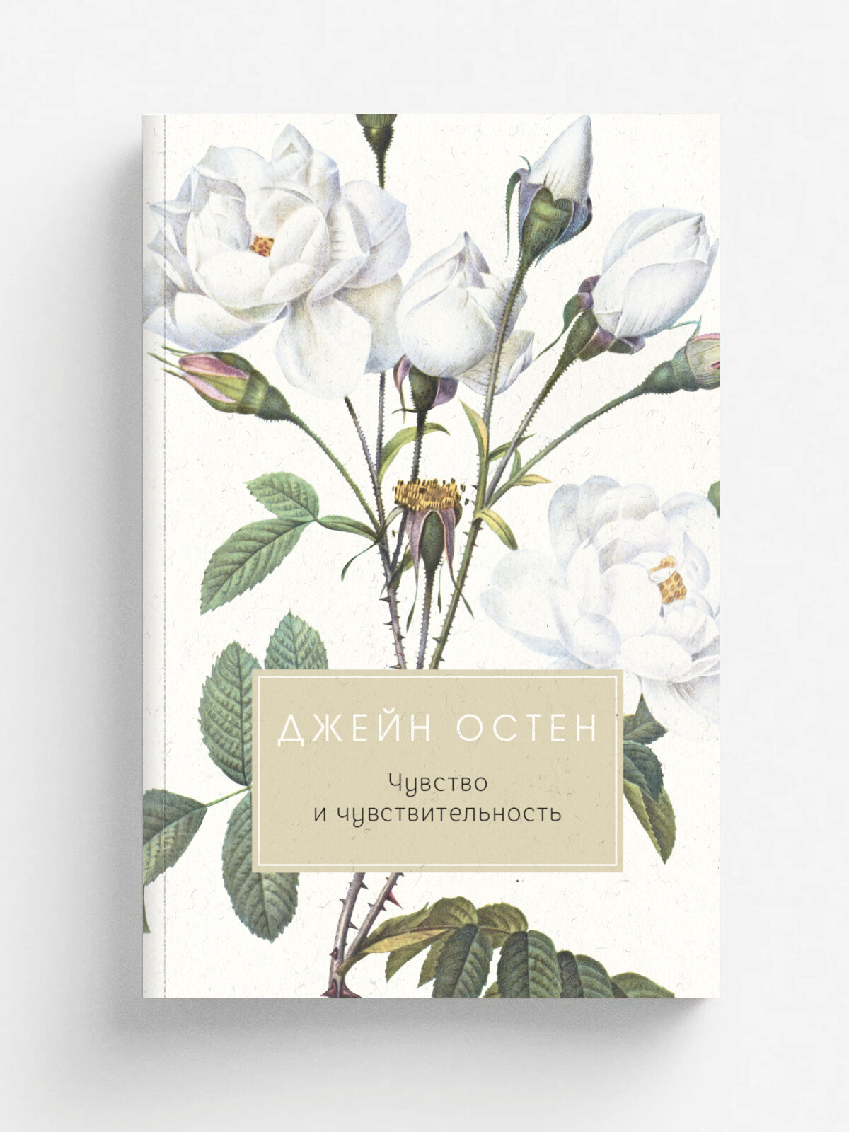 Чувство и чувствительность