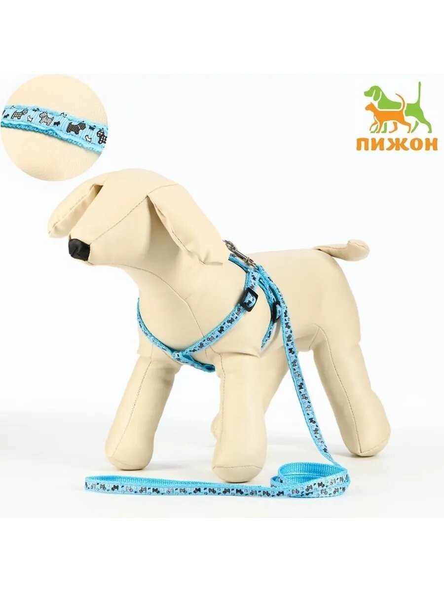 Удобный комплект для прогулок с собакой