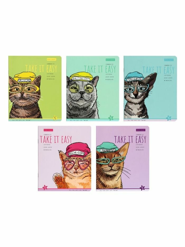 Тетрадь Альт EASY LIFE. Коты , 48 листов, в клетку, микс