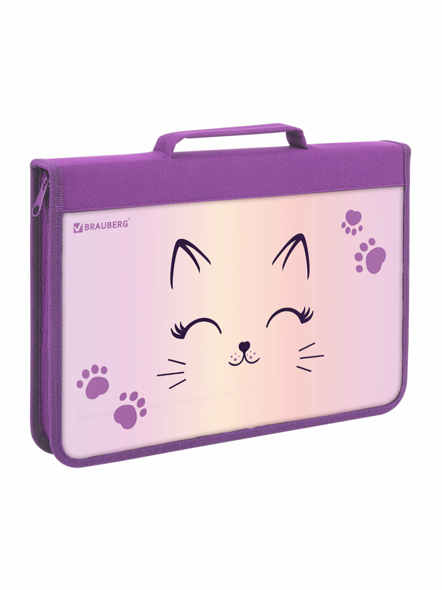 Папка для уроков труда и школы для школьника на молнии Brauberg А4 с ручкой, 1 отделение, органайзер, Cheerful, 271448